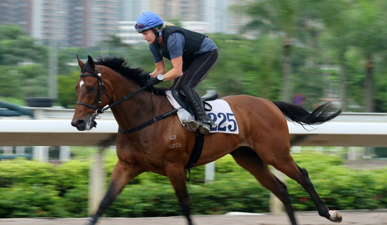 Danny Shum’s HK$7.2 million buy Travel Emperor is ready to rumble on ...