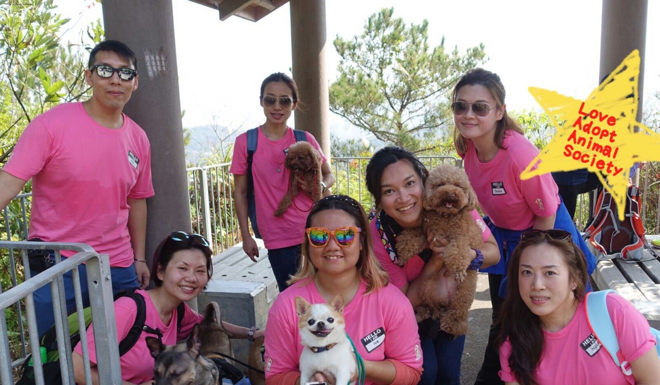 Young Hong Kong pet protection group goes extra mile to match animals ...