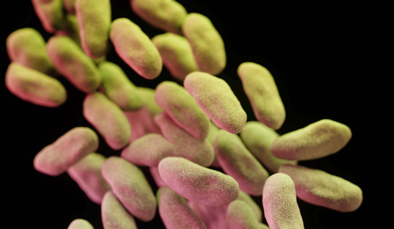 Full screening for superbug begins as Hong Kong hospitals battle rising ...