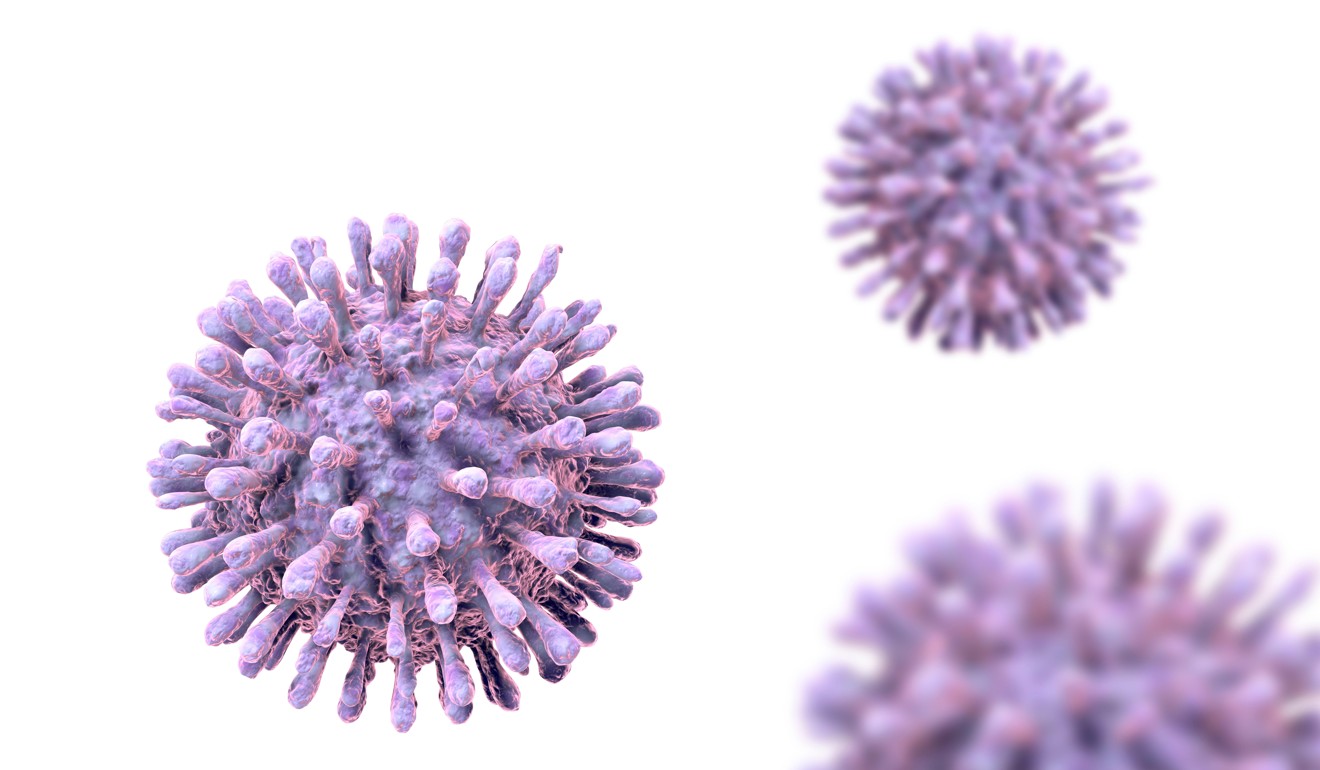 Seven of the most deadly viruses, from Ebola to rabies – hidden killers ...