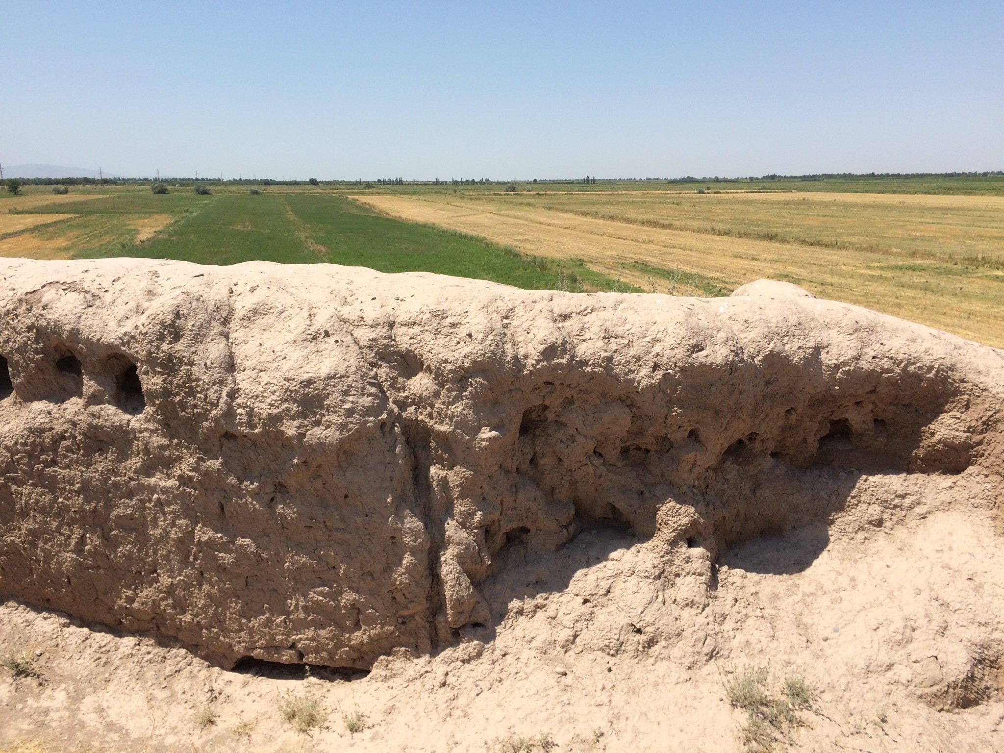 From the Wall to the Water: discovering the ruins of Suyab, the ...