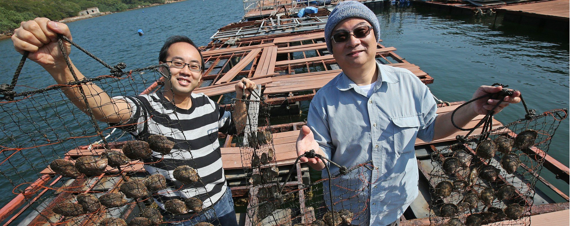 Pearl farming in Hong Kong: enthusiasts restock oyster beds in city ...