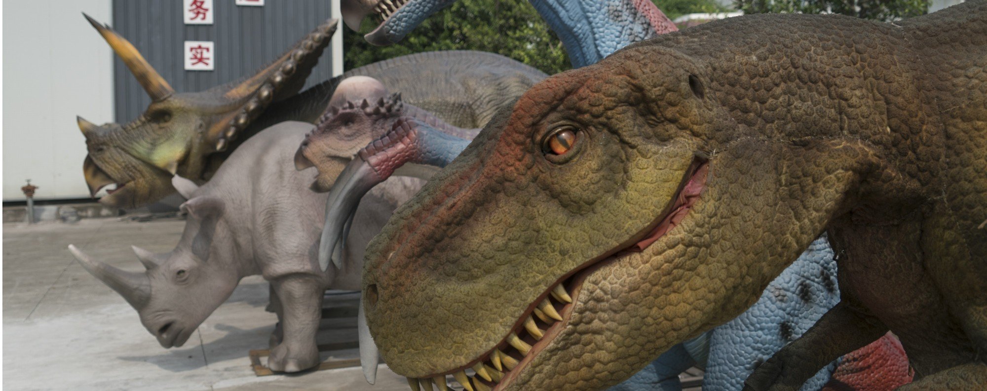 China’s dinosaur factory: behind the scenes at an animatronics ...