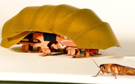 A giant indoor farm in China is breeding 6 billion cockroaches a year ...