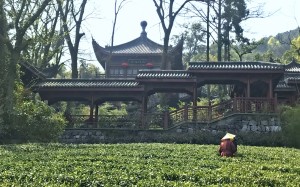 Cedric Tan | South China Morning Post