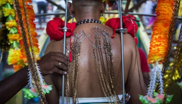 The Hindu body piercing festival Thaipusam in Malaysia: one man adding ...