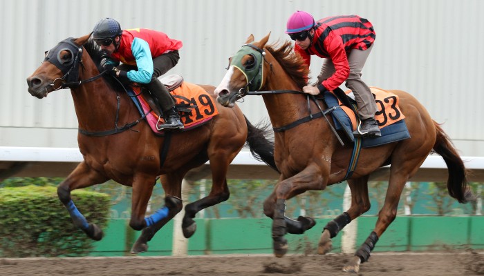 Eagle Way and Helene Charisma are back on track, but another of John ...