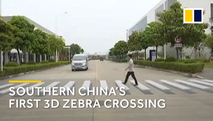 Eye-catching 3D pedestrian crossing unveiled in southern China | South ...