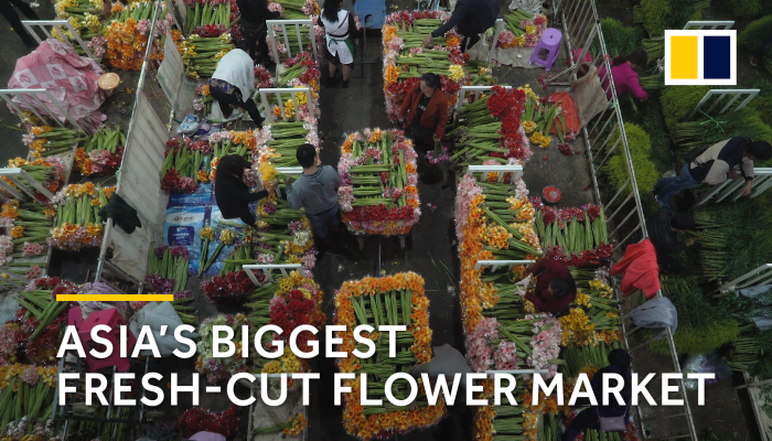 Inside Asia’s largest fresh-cut flower market in China’s Yunnan ...
