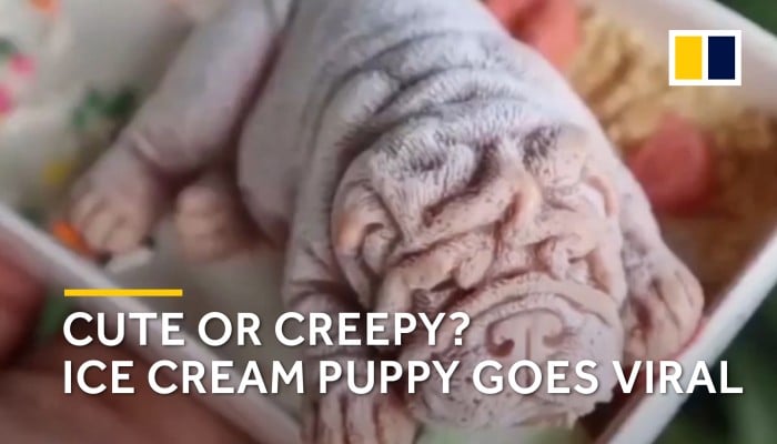 Cute or creepy? Ice cream ‘puppy’ goes viral in Taiwan | South China ...