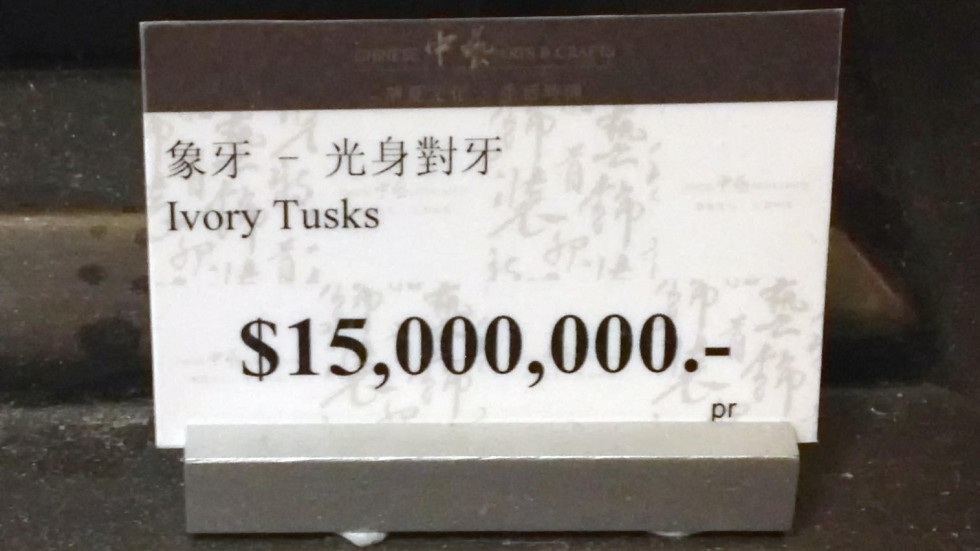 Ivory prices in Hong Kong stores rise 50-fold in a decade | South China ...