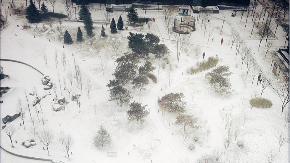 Beijing finally sees its first snow of the season, after a 107-day wait ...