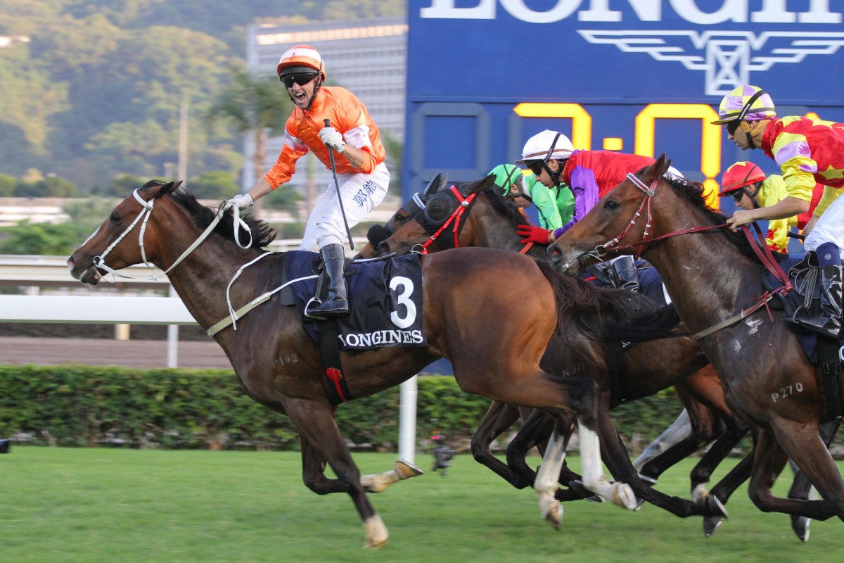 Neil Callan feels 100 per cent as he returns aboard Blazing Speed for ...