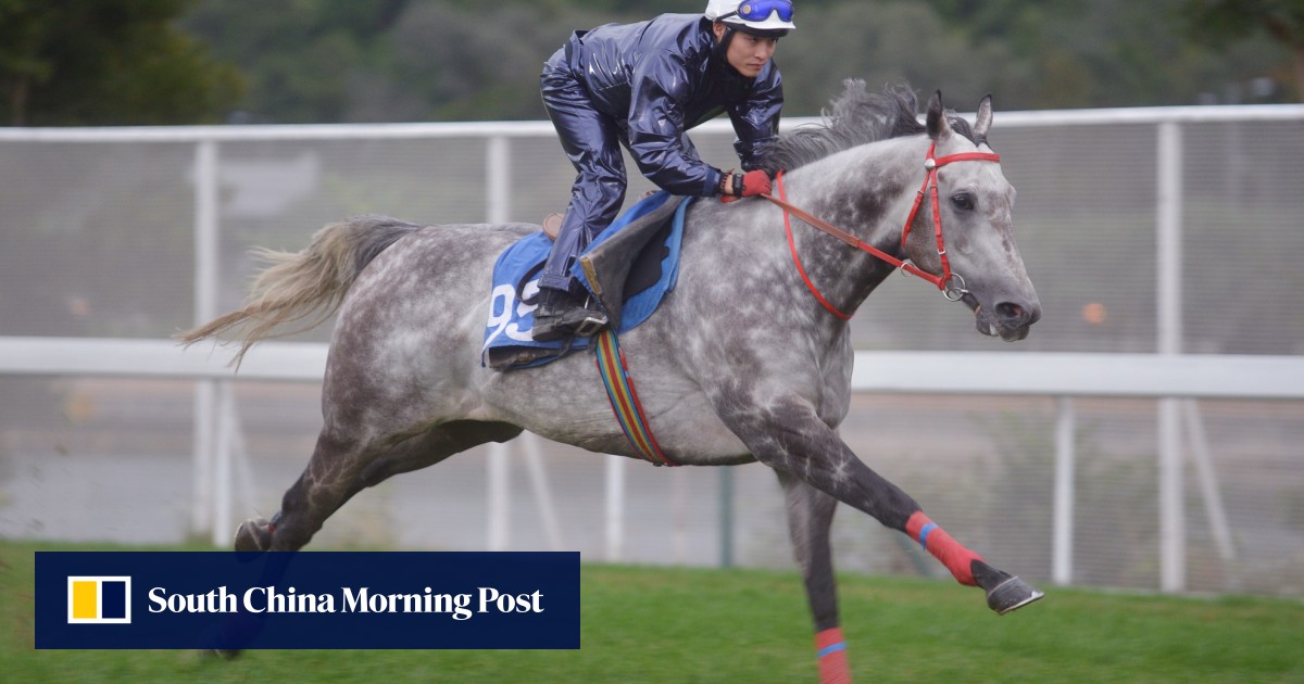 Trackwork replays could pick up more | HK Racing | South China Morning Post