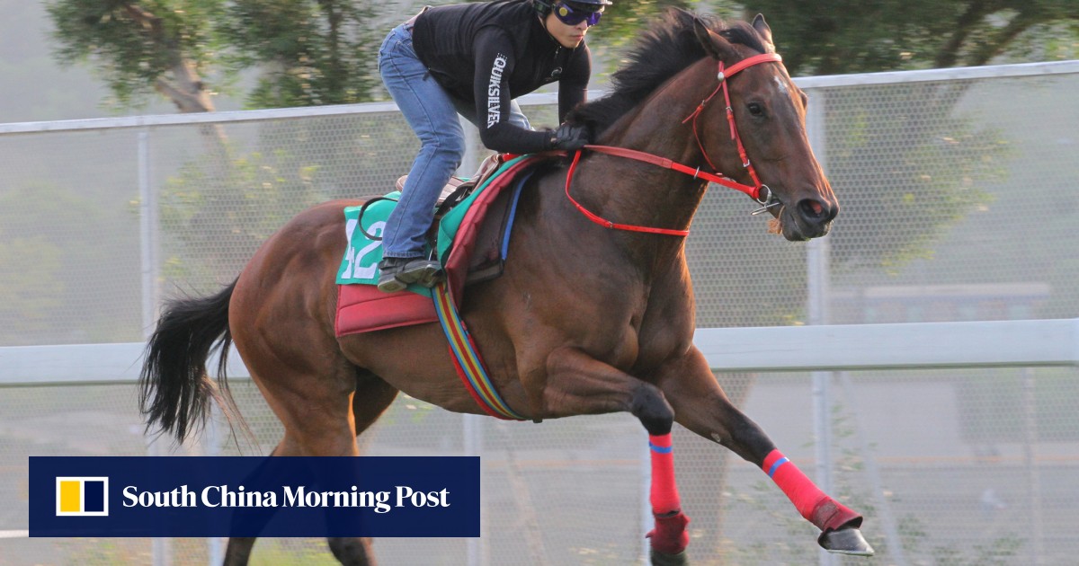 General Iron out to prove he's made of Whyte steel | HK Racing | South ...