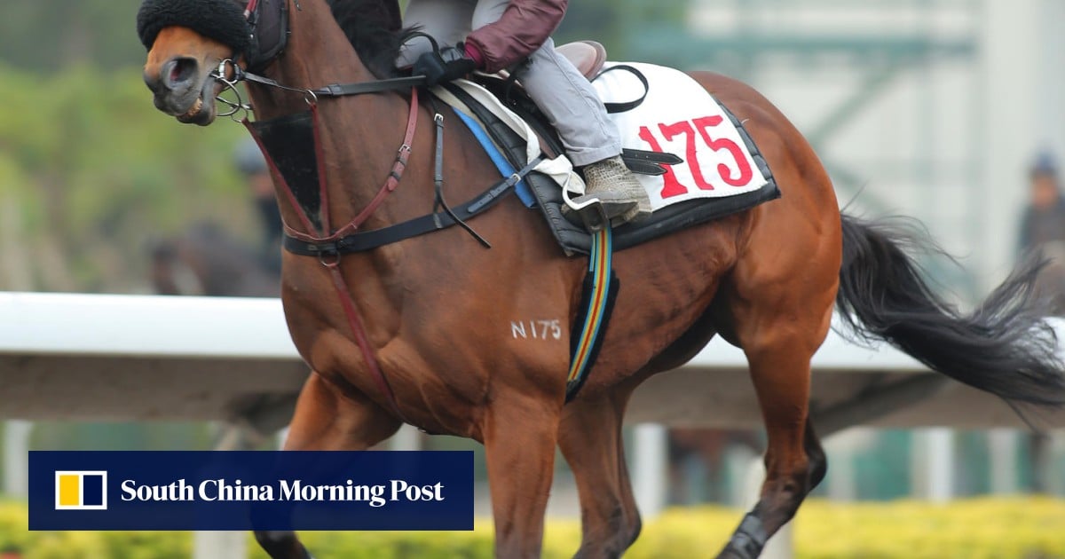 John Moore sees Military Attack edging out Akeed Mofeed in Gold Cup ...