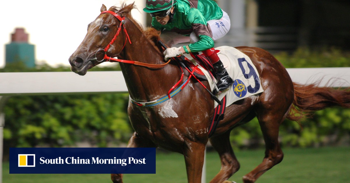 Longwah Amber to justify price tag with victory first-up | HK Racing ...