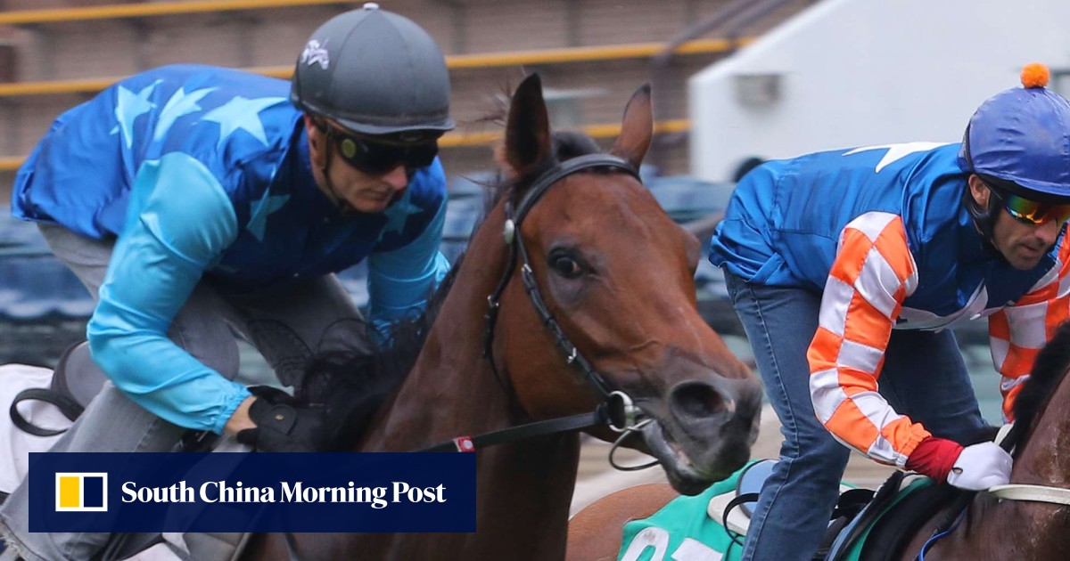 HK$8.5 million purchase Jing Jing Win out to justify hype on debut | HK ...