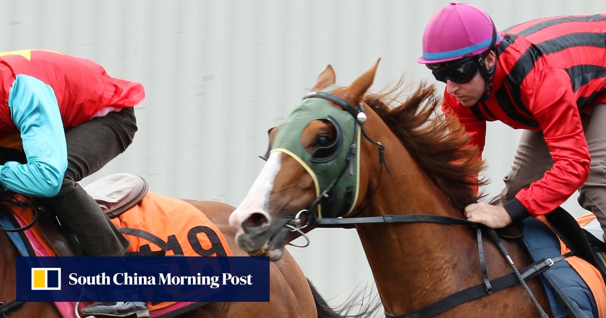 Eagle Way and Helene Charisma are back on track, but another of John ...