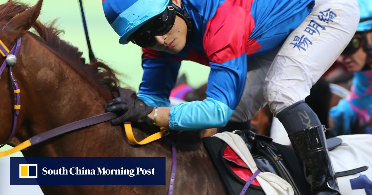 Coby Boy salutes but favourite Harmony Hero pulls up lame | HK Racing ...