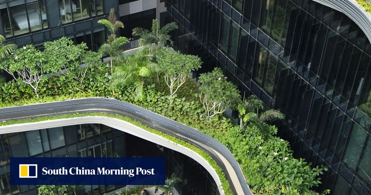 How Singapore hotels benefit from going green, as well as helping the ...