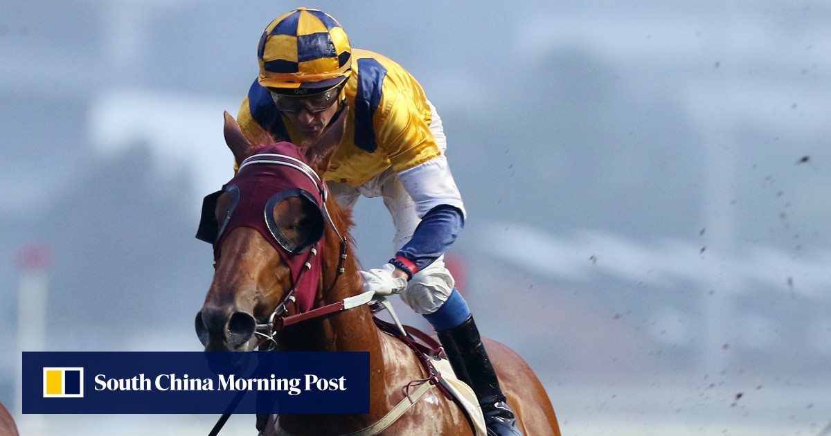 Douglas Whyte full of praise for Styling City: ‘only good horses do ...