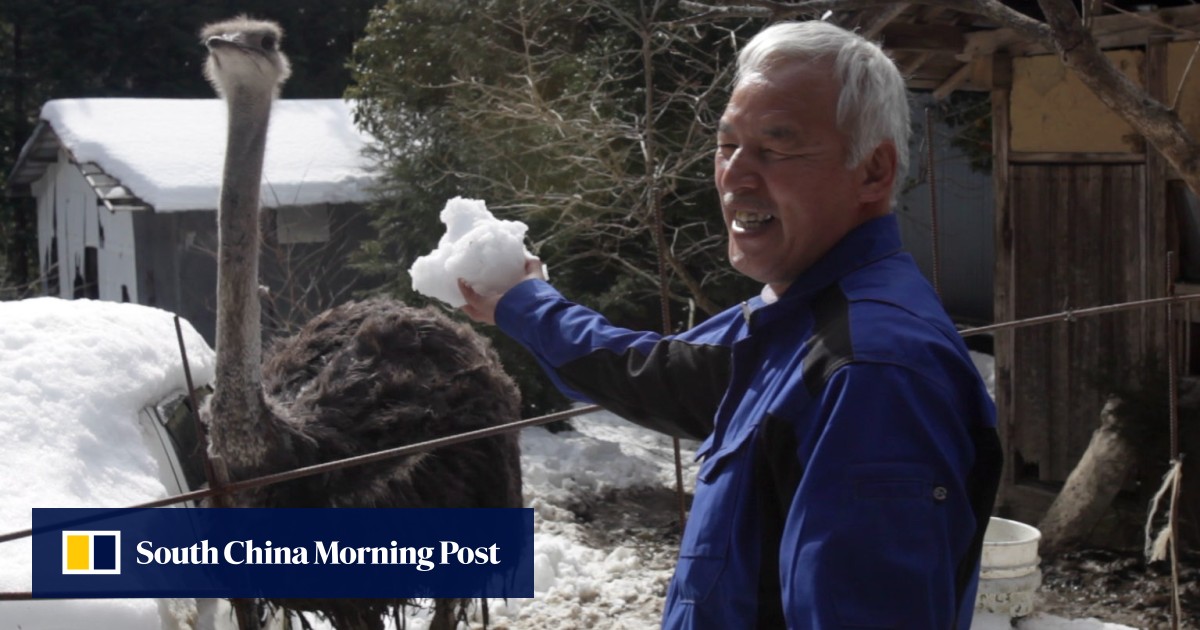 Japan's most radioactive man and his animals | South China Morning Post